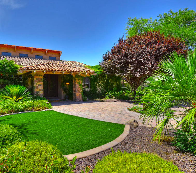 Moon Valley Nursery Arizona Blog Kyle Shipp 2 moon-valley-nursery-arizona-blog-kyle-shipp-2